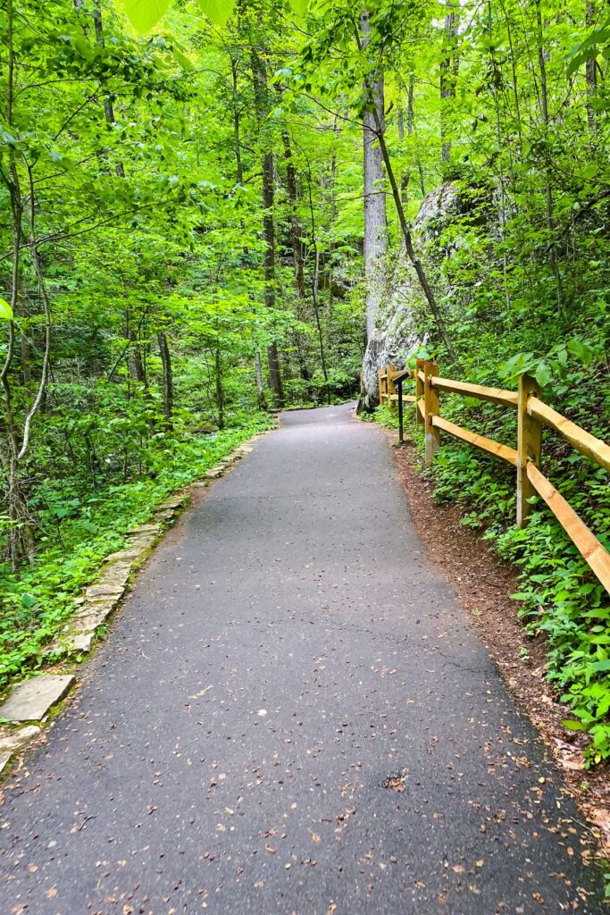 Hiking to Anna Ruby Falls: The Ultimate Guide