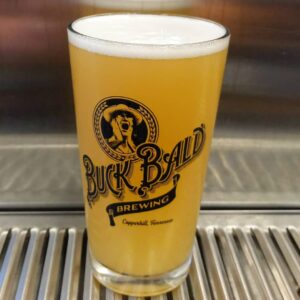 6 Best Breweries to Visit in Blue Ridge, Georgia