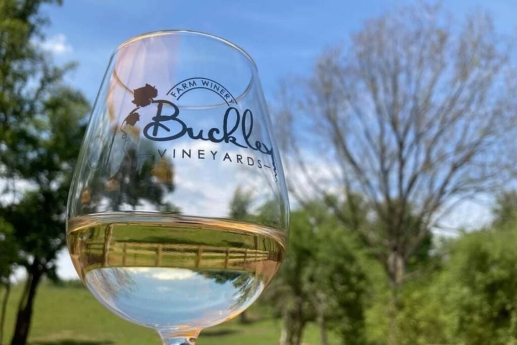 12 Beautiful Wineries near Blue Ridge, Georgia (2026)