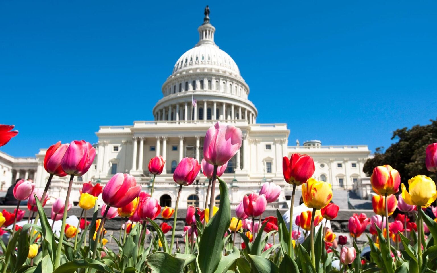 17 Best Places to Visit this April in the USA (2026)