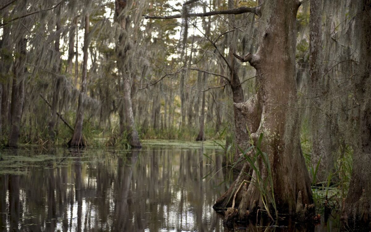 17 Unforgettable and Unique Things to Do in New Orleans (2026)