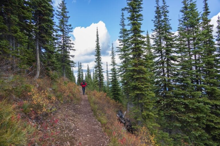 17 Best Places to Visit in June in the USA