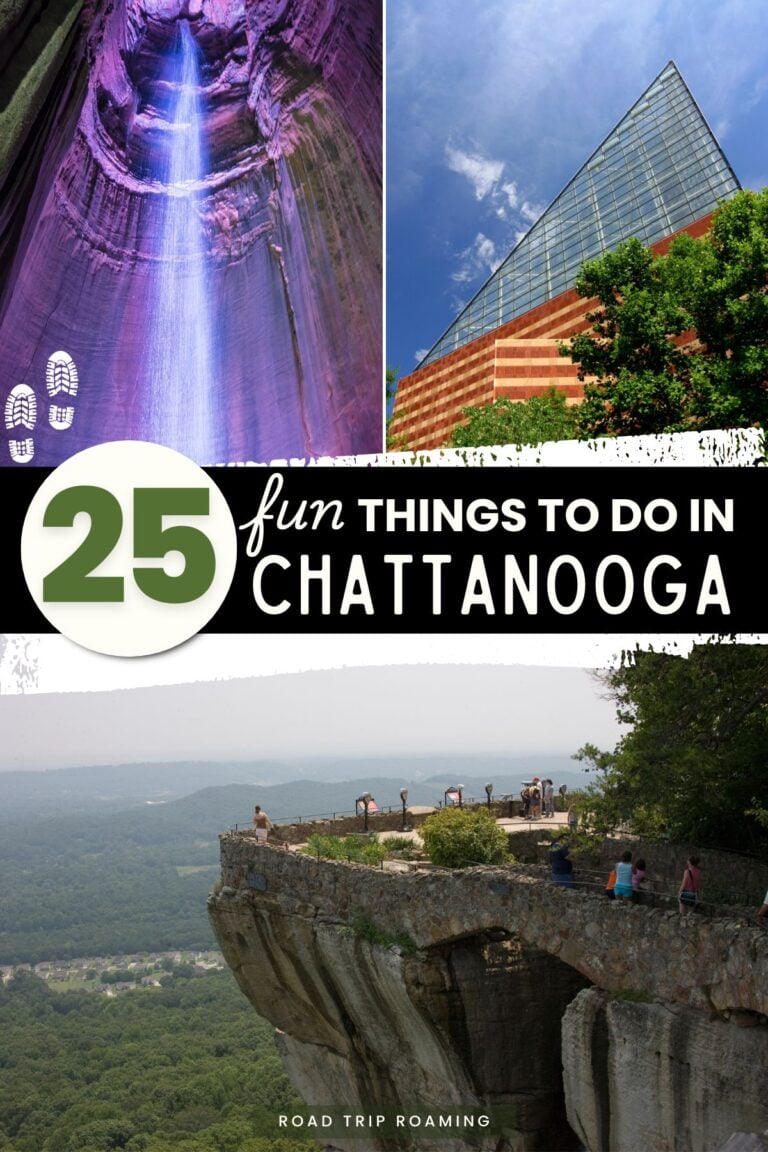 25 Fun Things to Do in Chattanooga: The Scenic City