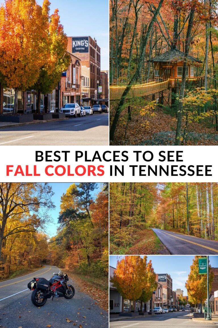 Best Places to See Fall Colors in Tennessee - Road Trip Roaming